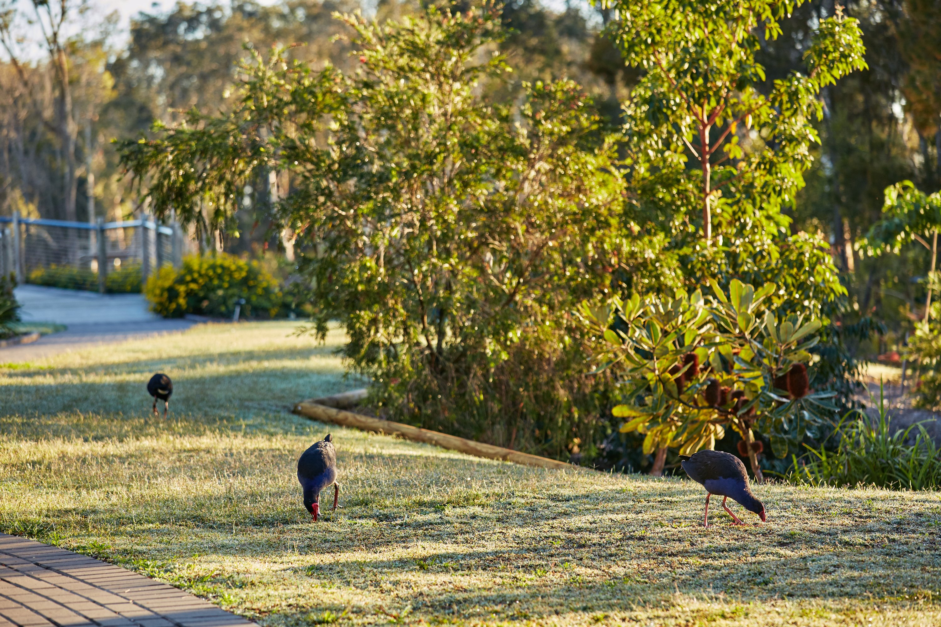 Renaissance Retirement Living | Resort-Style Retirement Village